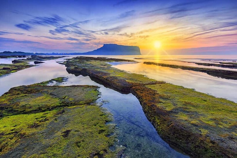 Jeju: Customized Private Vehicle Day Tour - Key Points