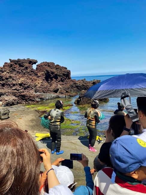 Jeju: customized shore excursions for up to 7 people - Key Points