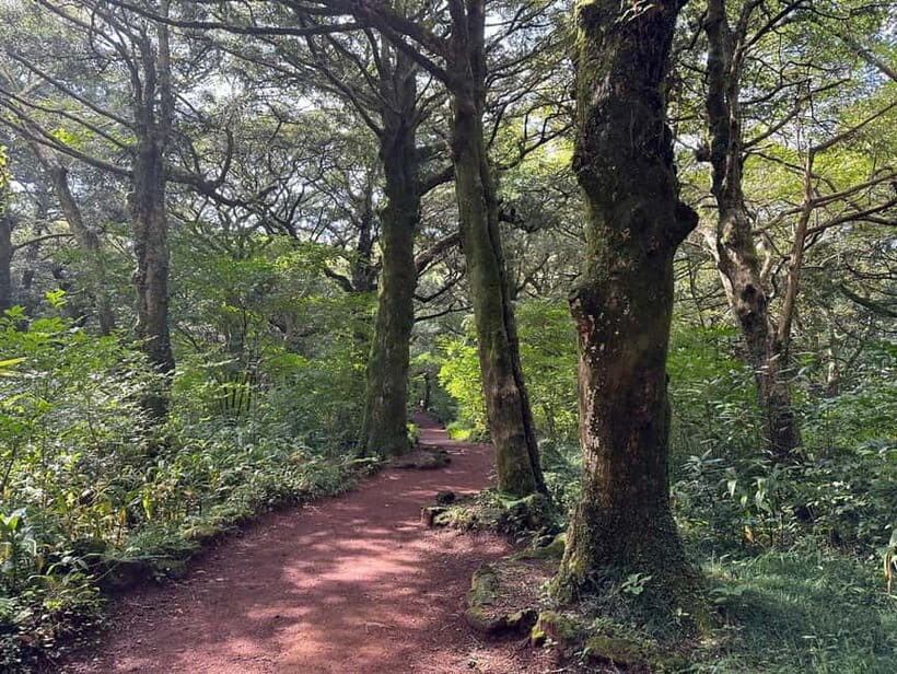 Jeju: East Healing UNESCO Small Group Tour & WomanDiversShow - FAQ