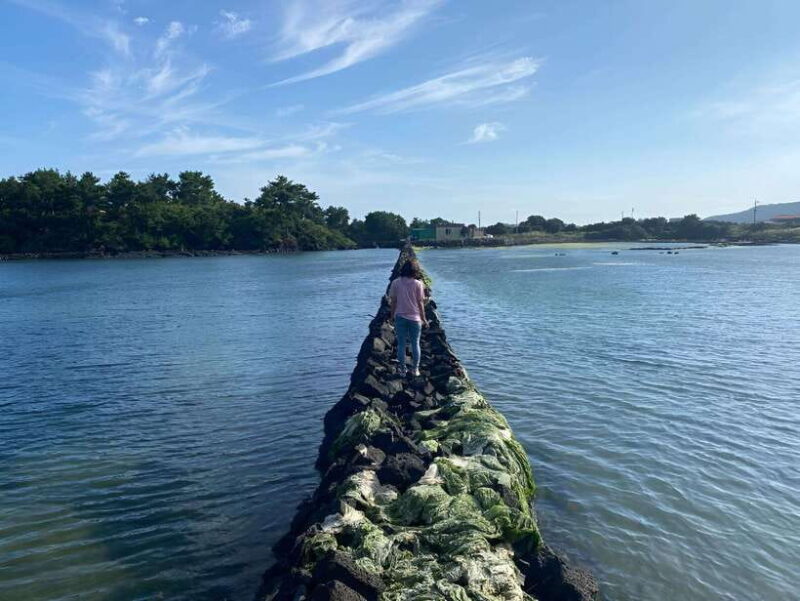 Jeju East: K-Drama Filming Spots Tour with Hotel Pickup - Why This Tour Is a Good Deal