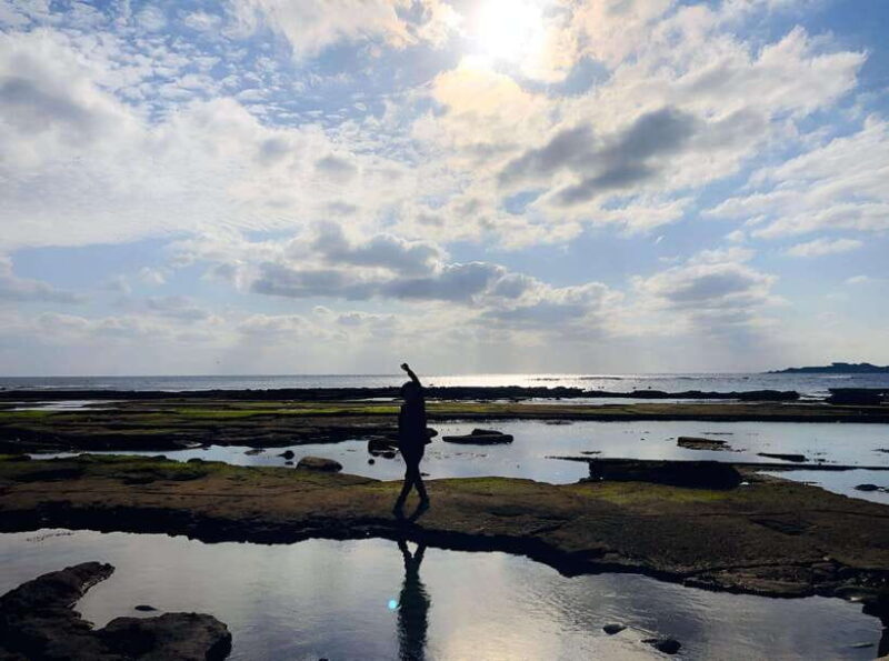 Jeju East: K-Drama Filming Spots Tour with Hotel Pickup - Who Will Love This Tour?