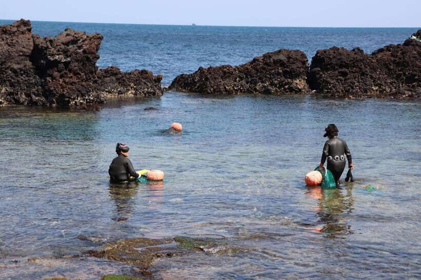Jeju: East of Jeju Island Bus Tour from Seogwipo City - FAQ