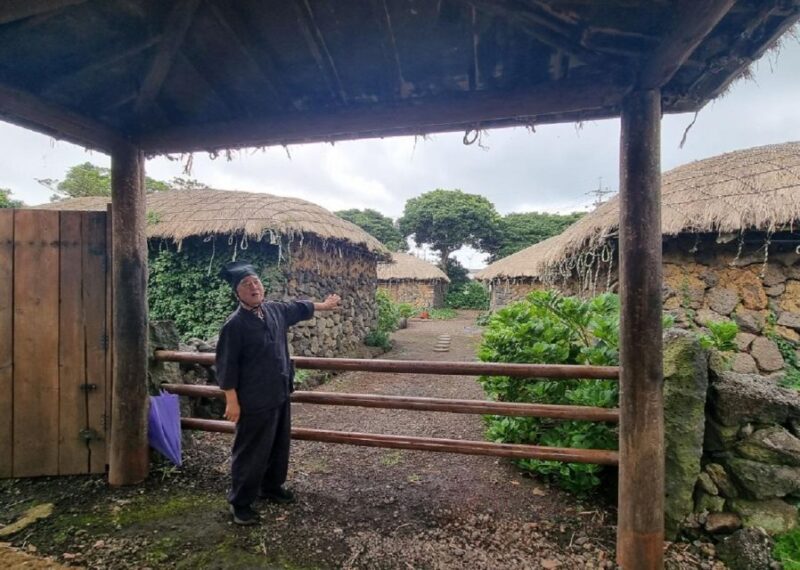 Jeju: East Tour with Sunrise Peak, Seongeup & Coastal Views - An In-Depth Look at the Jeju East Tour Experience