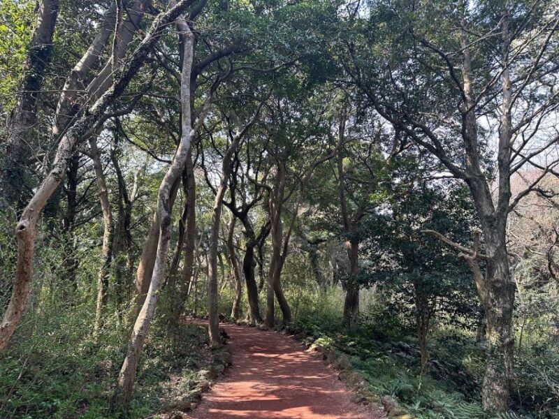 Jeju: East Tour with Sunrise Peak, Seongeup & Coastal Views - Final Thoughts: Is It Worth It?