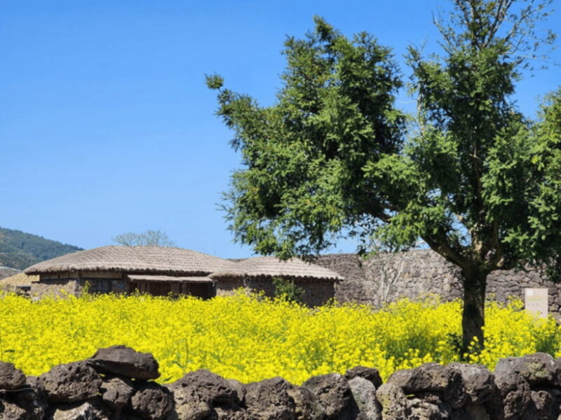 Jeju: Eastern Jeju UNESCO Spots Day Tour - Who Should Consider This Tour?