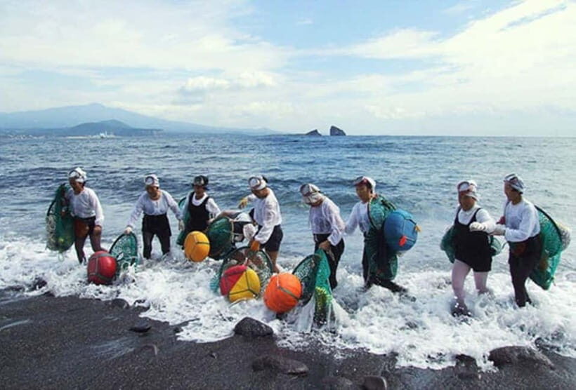 Jeju: Eastern UNESCO and Must-See Spots Tour - Starting Point and Logistics