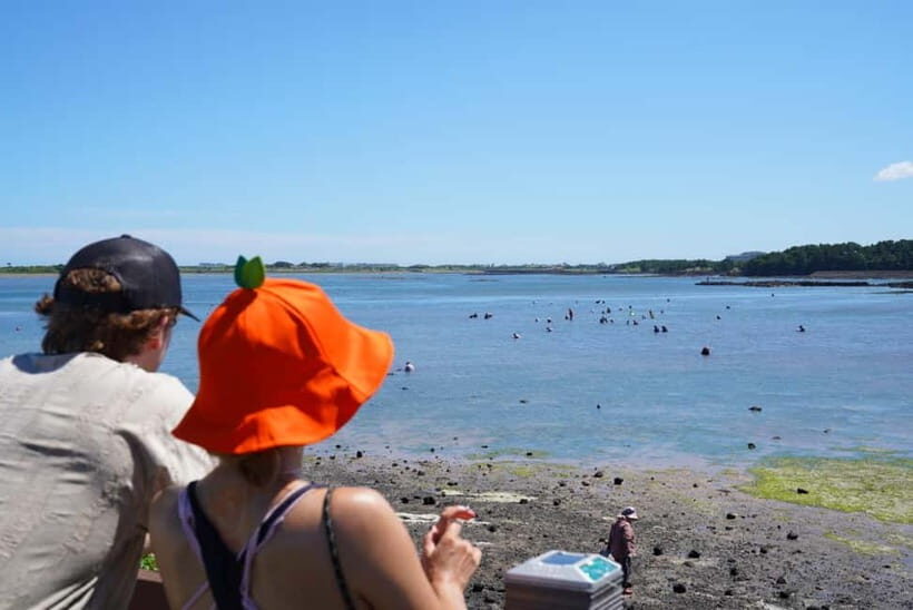 Jeju: Eastern UNESCO Join in Tour (Seongsan, Haenyeo) - The Practical Side: What to Expect