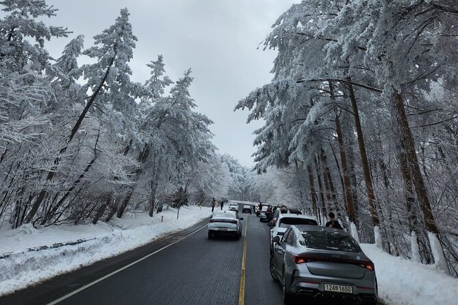 Jeju English Private Taxi Tour(1day, 2days, 3days & 1 to 8pax) - FAQ