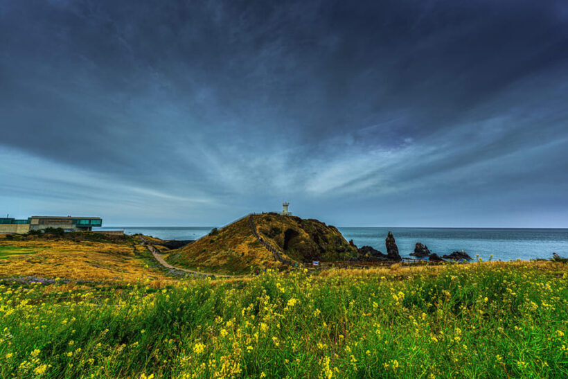 Jeju: For Cruise Guests UNESCO Highlights Jeju Island Tour - FAQ