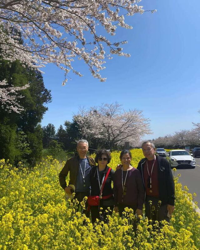 Jeju Hidden Gem: All-inclusive Private Tour(Western Gems) - The Cost and the Value Proposition