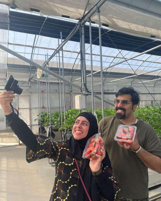 Jeju Hidden Gem: All-inclusive Private Tour(Western Gems) - Final Thoughts: The Practical Choice for Authentic Jeju Exploration