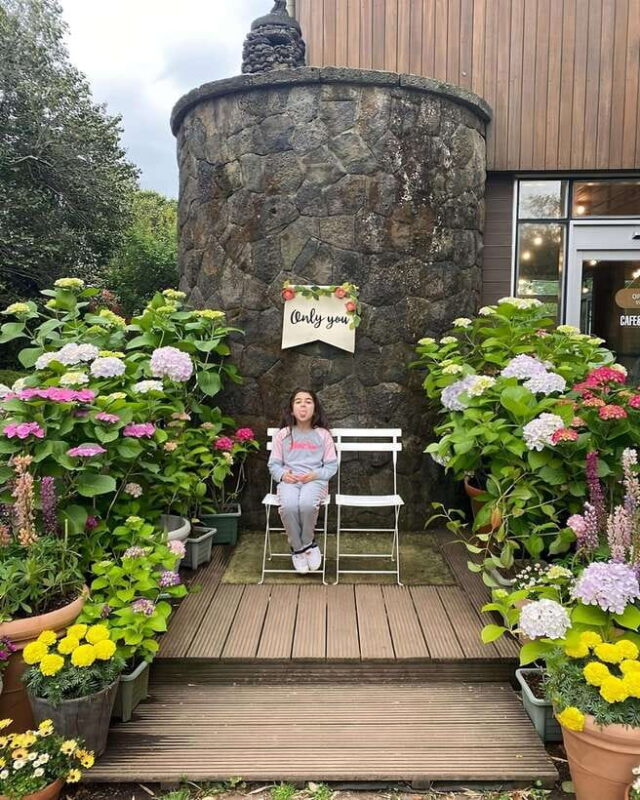 Jeju Hidden Gem: All-inclusive Private Tour(Western Gems) - FAQ