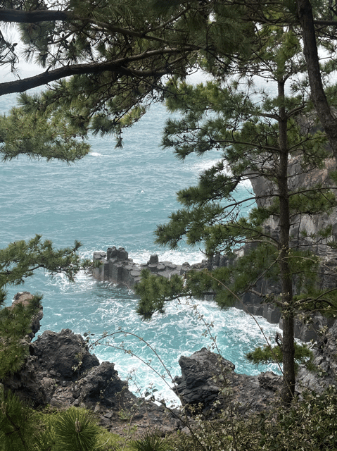 Jeju: Highlight Customized Private tour with Expert Guide - The Value of a Private, Custom Tour