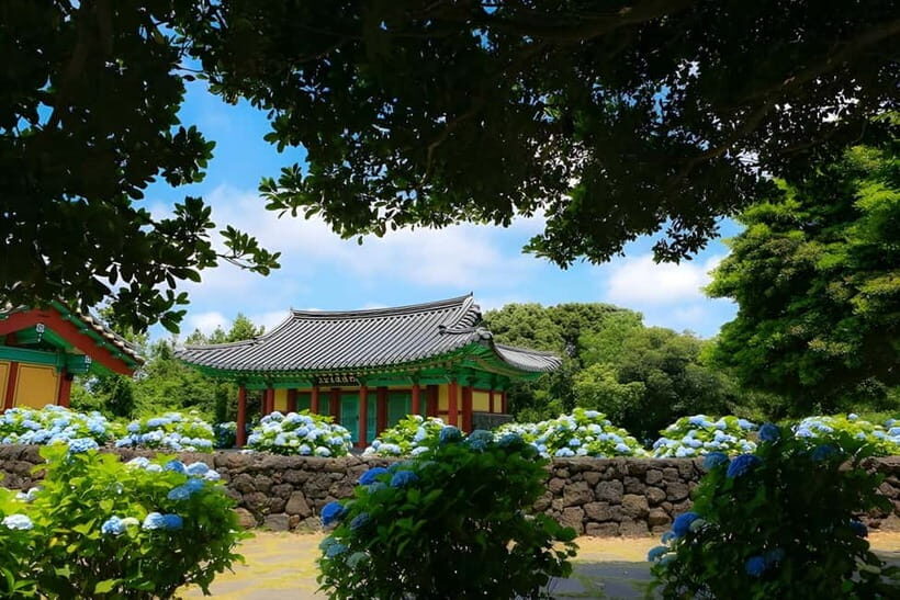 Jeju Hydragea Festival Tour : EAST Route - The First Stop: Hamdeok Seoubong Beach