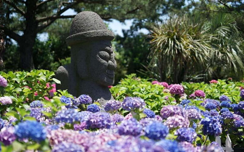 Jeju Hydragea Festival Tour : EAST Route - Key Points