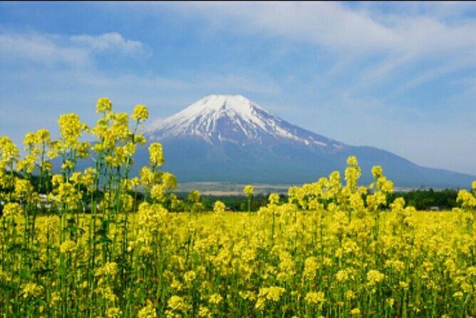 Jeju Island Bus Tour Or Taxi Tour in the East of Jeju island - Key Points