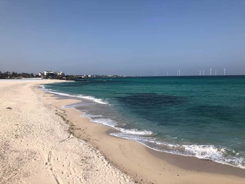Jeju Island: Customized Private Full-Day Van Tour - Who Should Consider This Tour?