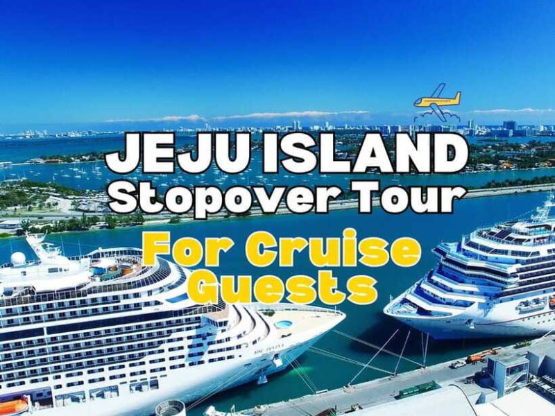 Jeju Island Day Tour for Cruise Ship Passengers - The Comfort and Practicalities