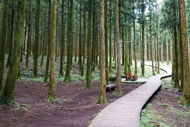 Jeju Island East UNESCO Day Tour - Weather and Comfort
