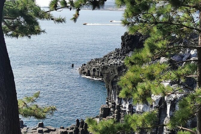 Jeju Island English Private & Flexible Tour any number anywhere - Final Thoughts: Is This Tour Right for You?