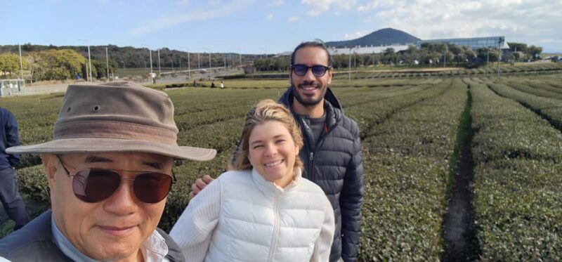 Jeju Island: Full-Day Customizable Private Guided Car Tour - What Travelers Say About This Tour