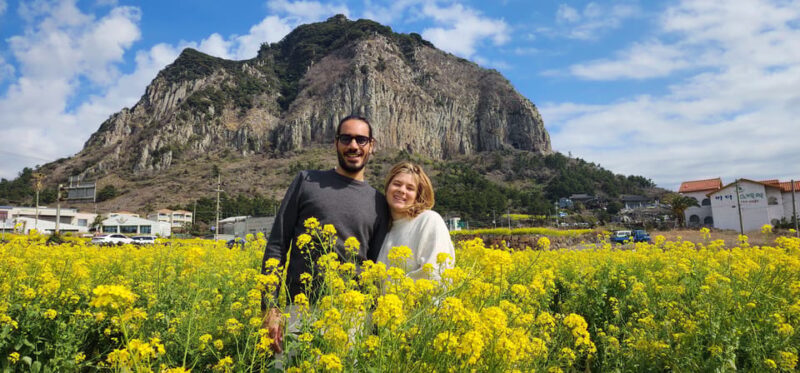 Jeju Island: Full-Day Customizable Private Guided Car Tour - FAQ