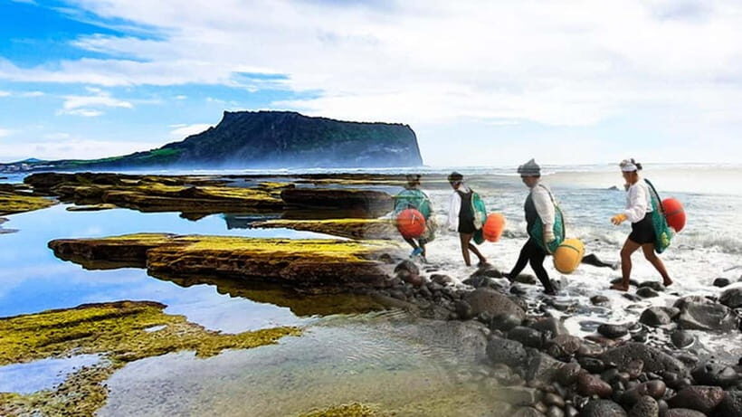 Jeju Island: Full-Day East Jeju Bus Tour with Entry Fees - Key Points