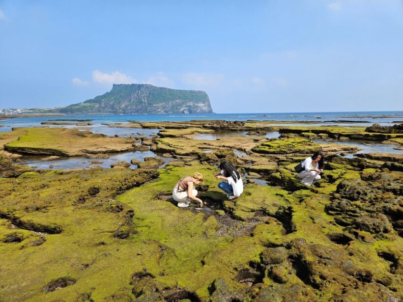 Jeju Island: Full-Day East Jeju Bus Tour with Entry Fees - Who Will Love This Tour?