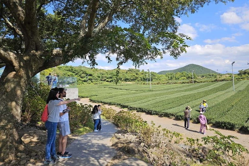 Jeju Island: Full-Day SouthWest Bus Tour with Entry Fees - Key Points