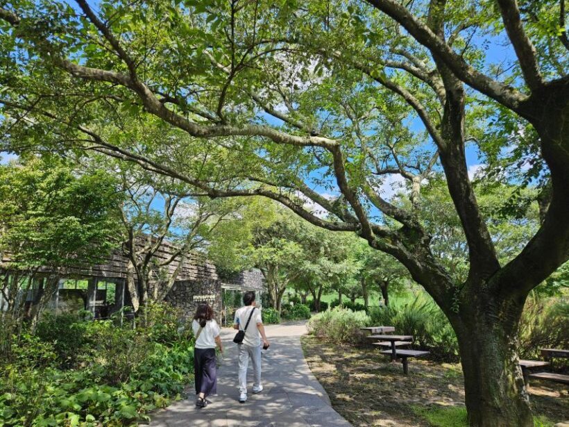 Jeju Island: Full-Day SouthWest Bus Tour with Entry Fees - Who Should Consider This Tour?