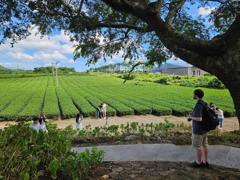 Jeju Island: Full-Day SouthWest Bus Tour with Entry Fees - Final Thoughts