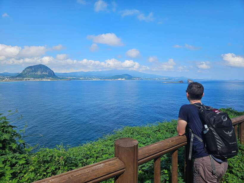 Jeju Island: Full-Day SouthWest Bus Tour with Entry Fees - FAQ
