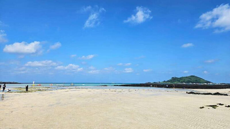 Jeju Island: Full-Day SouthWest Bus Tour with Entry Fees - Final Thoughts