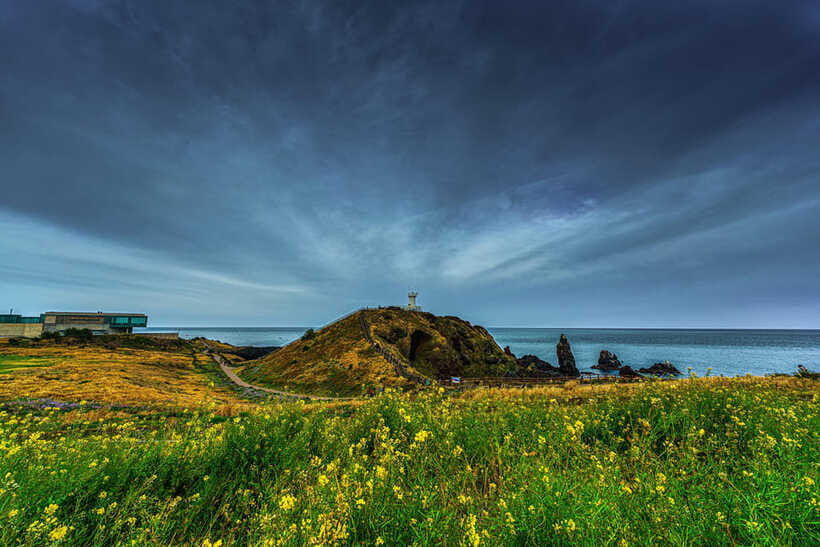 Jeju Island: Full Day Tour for Cruise Ship Passengers - Authenticity and Guide Expertise