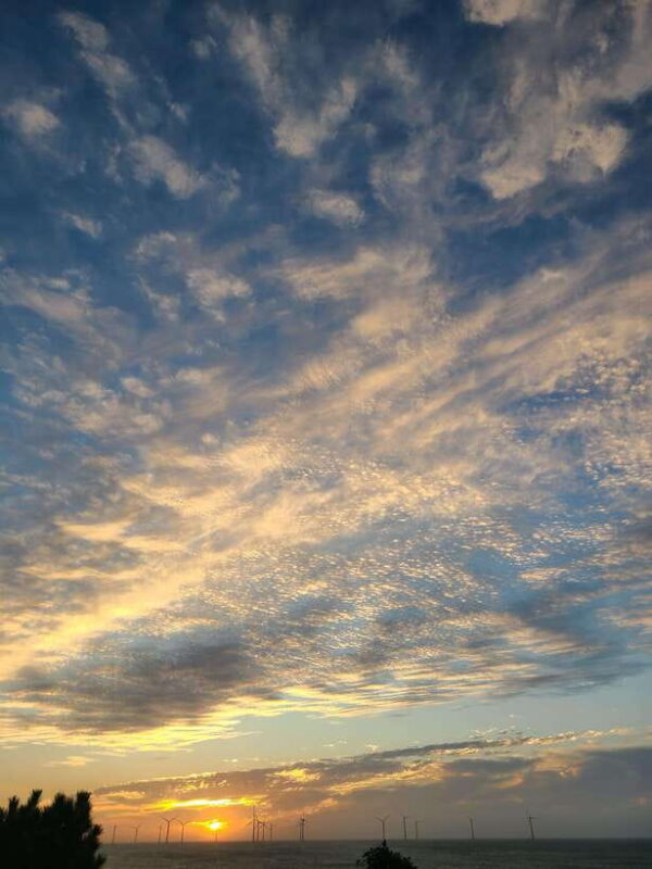 Jeju Island: Hallasan Mountain Winter Scenery Guided Tour - Value and Practicality