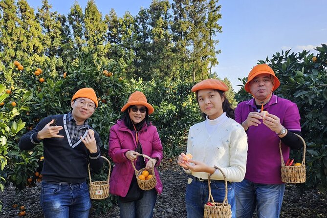 Jeju island Jumbo taxi Private Tour with Mr.Hong west of jeju - Osulloc Tea Museum