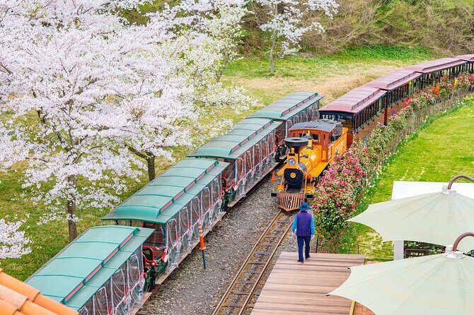 Jeju island private DAY Tour - South of Jeju - Exploring Jeju’s South Coast: A Practical Guide to the Private Day Tour