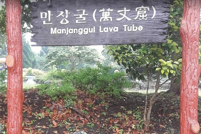 Jeju Island Private Half day Transport : East attractions only - Transportation: Comfort and Convenience