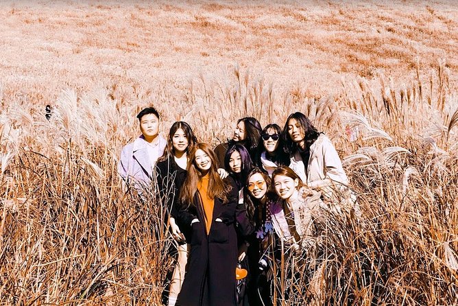 Jeju Island Private Taxi Tour : 3 Full days - Key Points