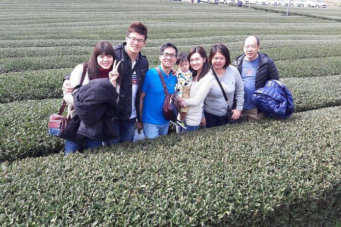 Jeju Island Private Taxi Tour in O`sulloc & Innisfree & Iho Beach - FAQ