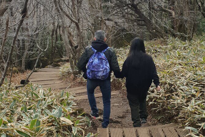 Jeju Island Private Taxi Tour: Mt. Hallasan and Waterfalls - An In-Depth Look at the Itinerary