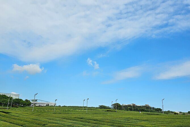 jeju island private taxi tour-West & South of JEJU - Final Thoughts