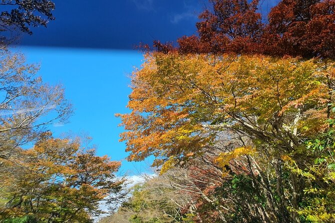 Jeju island Private Tour - UNESCO Day Tour & Haenyeo Performance - In Closing