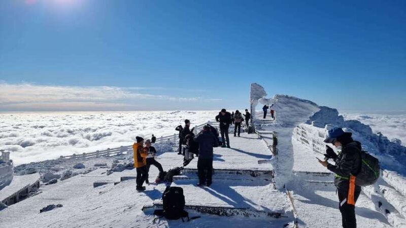 Jeju Island: Private Tour with Driving guide - FAQs