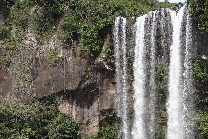 Jeju Island SouthWest UNESCO Day Tour - FAQs