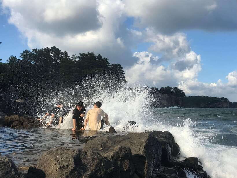 Jeju island: Van tour with a guide who the most loves JEJU - A Deep Dive into the Jeju Van Tour Experience