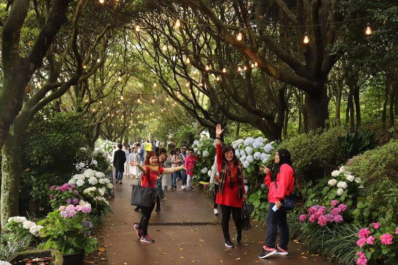 Jeju island: Van tour with a guide who the most loves JEJU - FAQs
