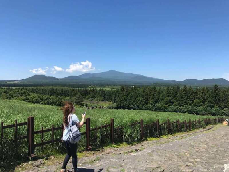Jeju island: Van tour with a guide who the most loves JEJU - Discovering Jeju’s Natural and Cultural Gems