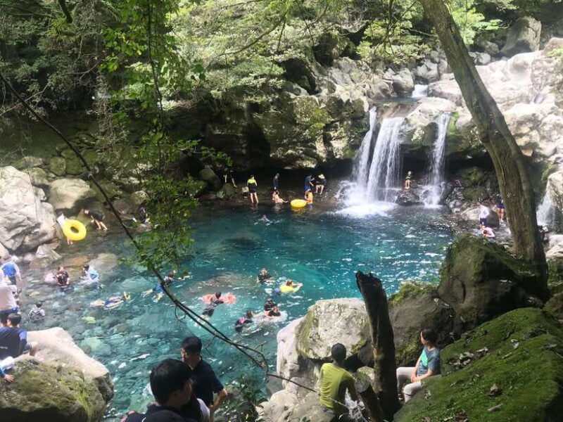 Jeju island: Van tour with a guide who the most loves JEJU - Sunrise Peak and the Iconic Volcanic Landscape