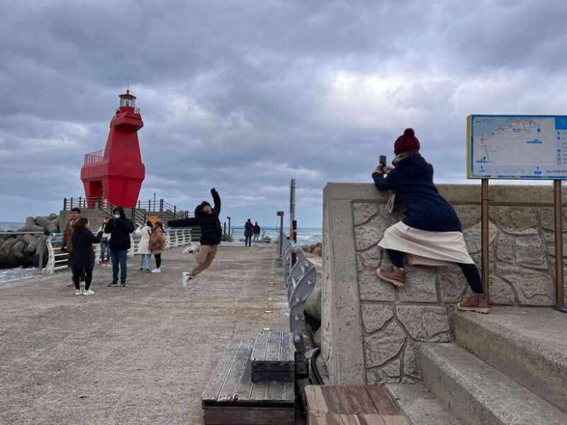 Jeju island: Van tour with a guide who the most loves JEJU - Exploring the Lava Tubes and Beaches